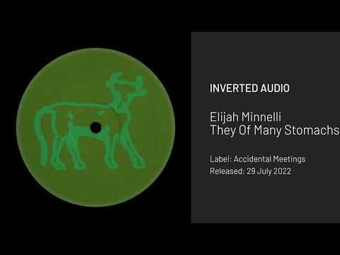 ELIJAH MINNELLI - "Creamed Horn" 10" – Technique Street